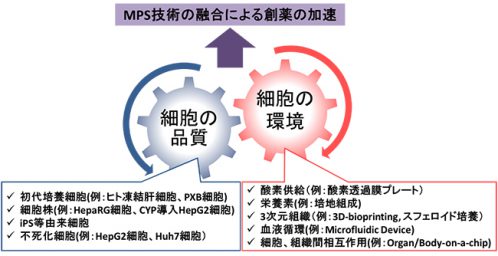 展望-Microphysiological System DIS ―創薬を加速させるMPS技術― | 日本薬物動態学会
